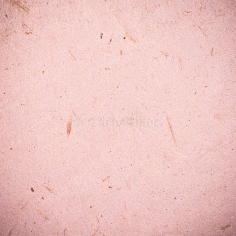 Ancient Fossils are the Sedimentary Rock of the Ancient Ocean, a Unique ...