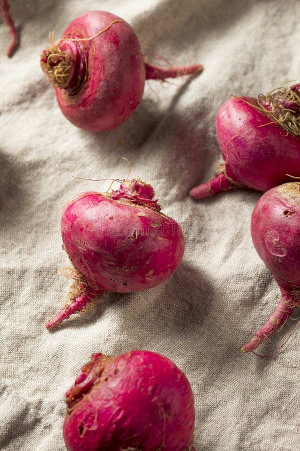 Pink and Red Beet Roots stock image. Image of natural - 132169951