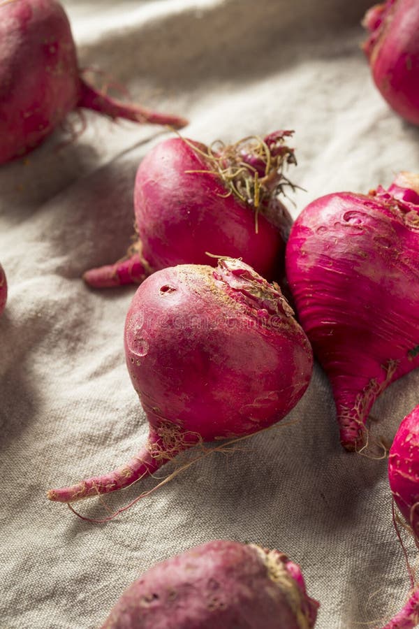 Pink and Red Beet Roots stock photo. Image of juicy - 132170016
