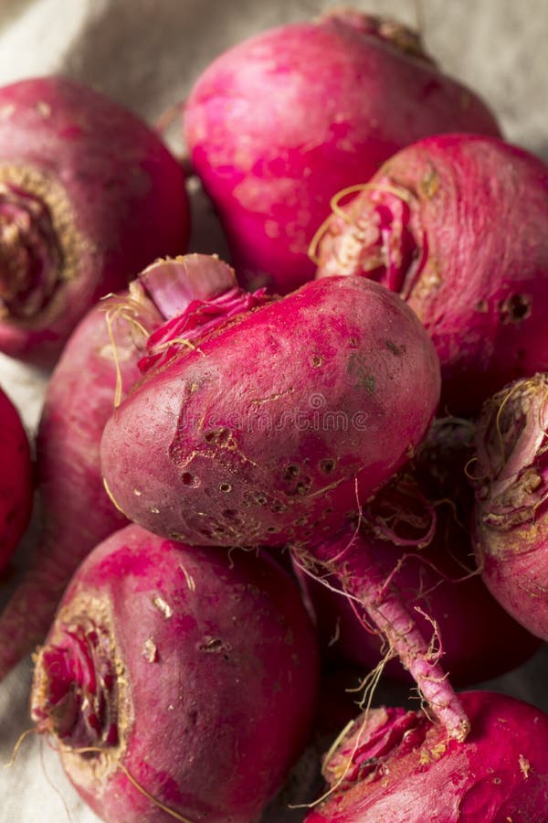 Pink and Red Beet Roots stock photo. Image of ingredient - 132170350