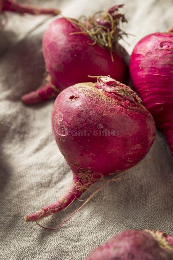 Pink and Red Beet Roots stock photo. Image of beetroot - 132174822