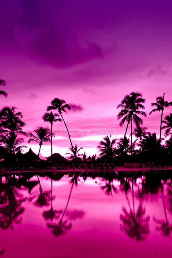 Hawaiian Pink Red Sunset