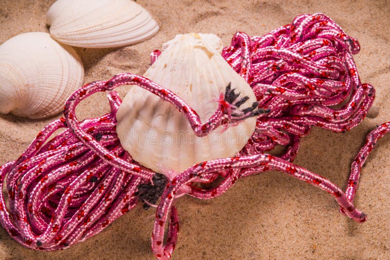 Pink Rope on a Beach with Mussels Stock Image - Image of mussel, beach ...