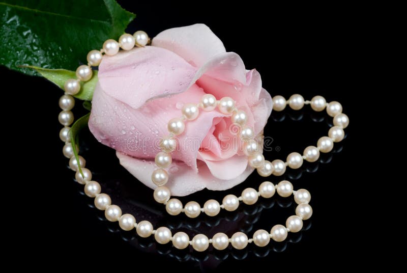 Pink rose stock image. Image of necklace, advertisement - 4623181