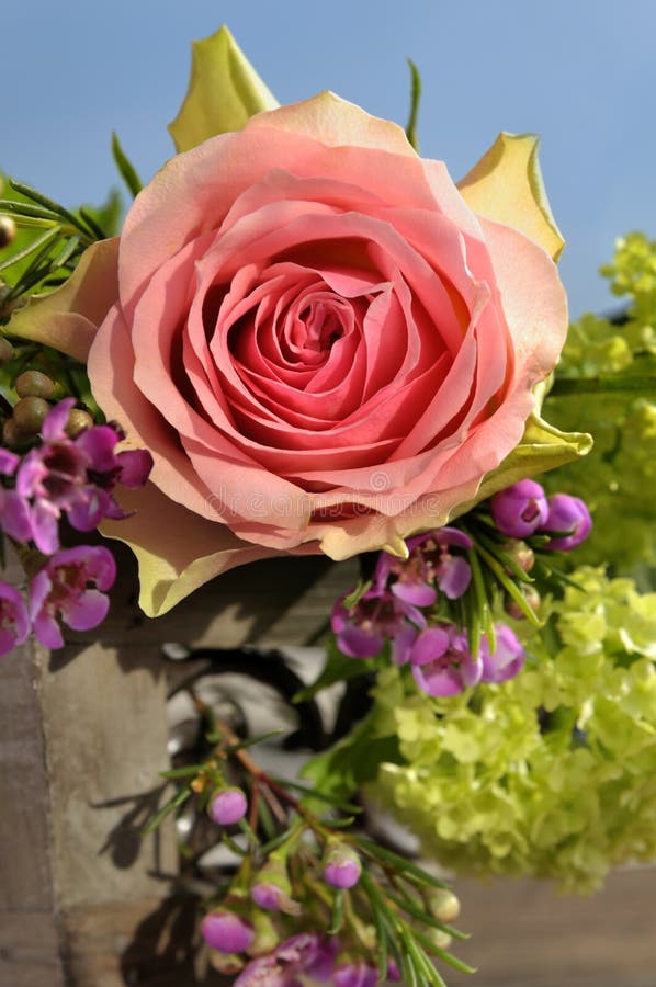 Pink Rose in an Arrangement Stock Image - Image of bright, green: 13598379