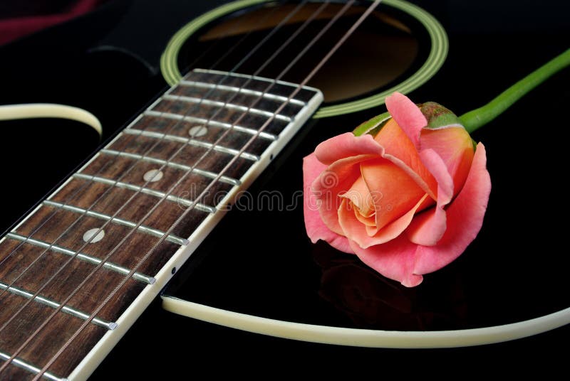 Pink Rose and Black Acoustic Guitar. Stock Image - Image of music ...