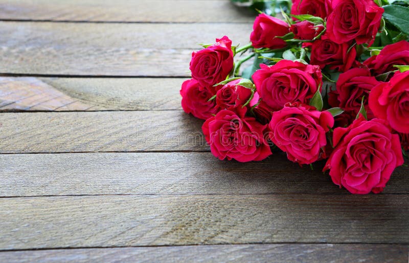 Pink rose on the boards stock image. Image of celebration - 36404037