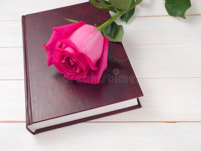 Pink rose and book stock photo. Image of valentines, mothers - 51361182