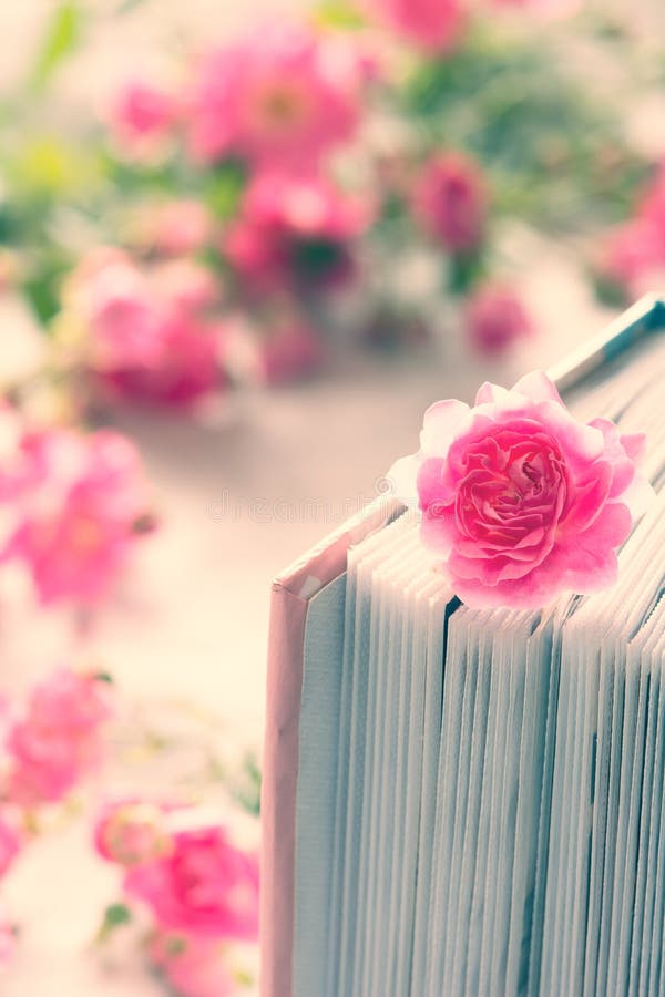 Pink roses and old books stock image. Image of design - 27077837