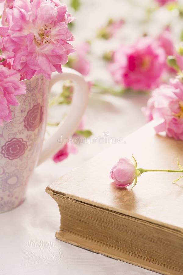 Spring Flowers in Vase on White Background Stock Image - Image of bunch ...