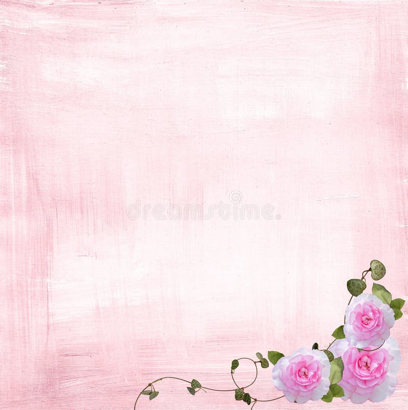 Pink rose border stock illustration. Illustration of feminine - 20501805