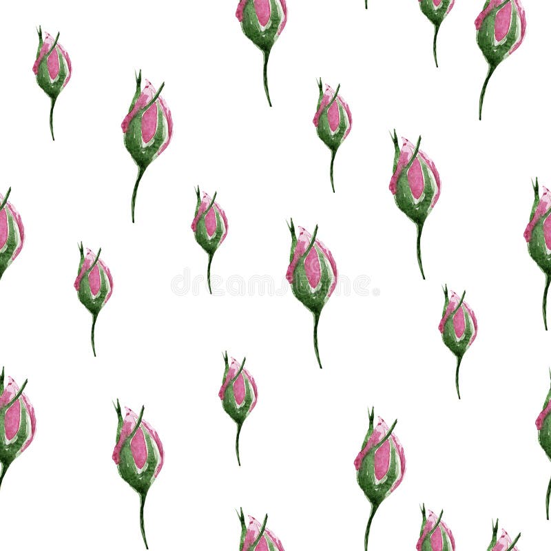 Pink Rose Buds Watercolor Seamless Pattern Stock Photo - Image of ...