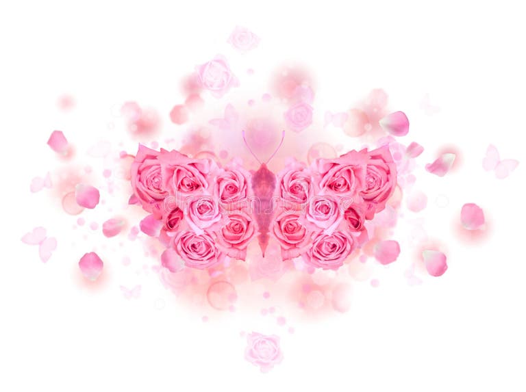 980 Spreading Butterfly Wings Scroller Stock Photos - Free & Royalty ...