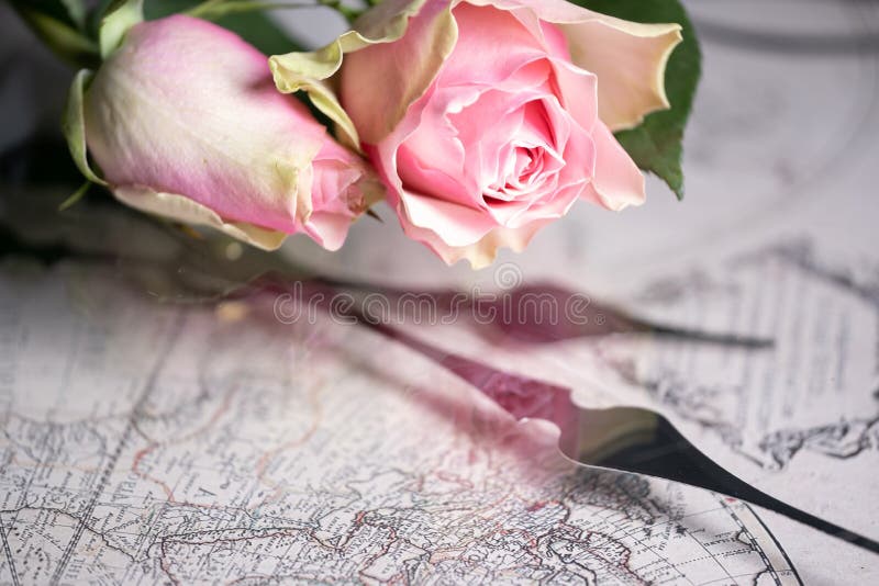 Pink Rose on a Clock Face, Clock Hands Stock Image - Image of beauty ...