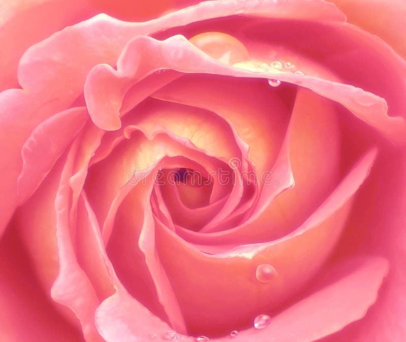 Close-up View of Beautiful Red Tulip Flower Stock Image - Image of ...