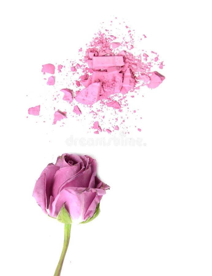Pink Rose with Crushed Color Make Up Powder Stock Image - Image of ...