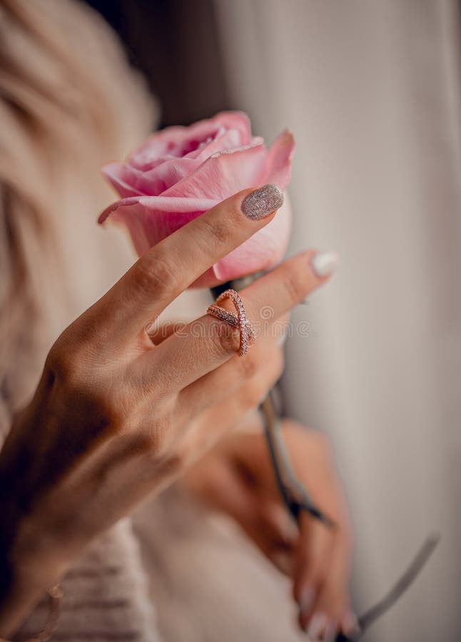 Pink Rose in Female Hands with Beautiful Ring Stock Image - Image of ...