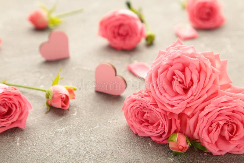 Pink Rose Flower with Hearts on Grey Background. Spring Concept Stock ...