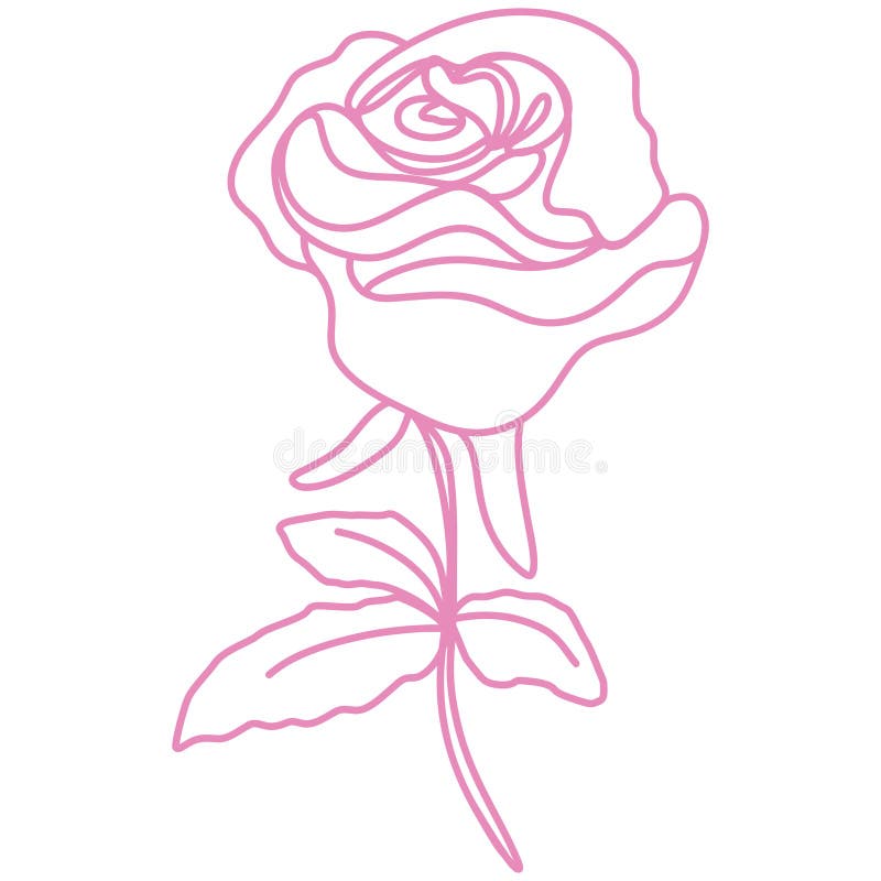 Pink Rose Flower One Line Art Drawing Doodle Vector Illustration Stock ...