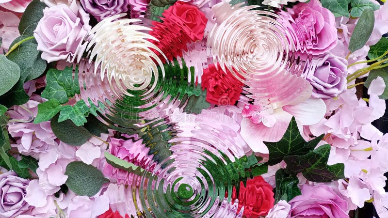 Pink Rose Flowers Abstract Backgrounds Blurs Shapes Stock Image - Image ...