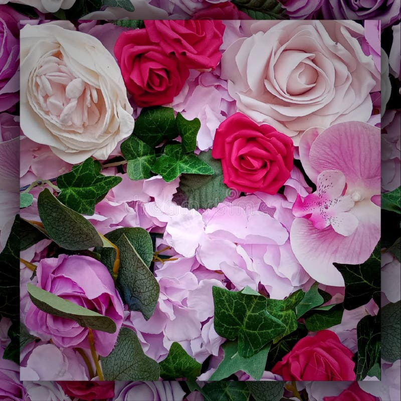 Pink Rose Flowers Abstract Backgrounds Blurs Shapes Stock Image - Image ...