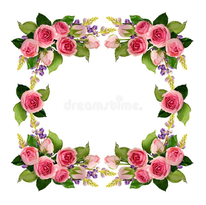 Pink Rose Flowers and Silk Waved Ribbons in a Corner Arrangement Stock ...