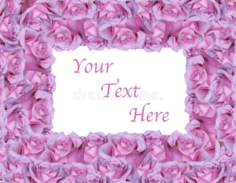 Pink Rose Frame Background stock image. Image of boquette - 22206865