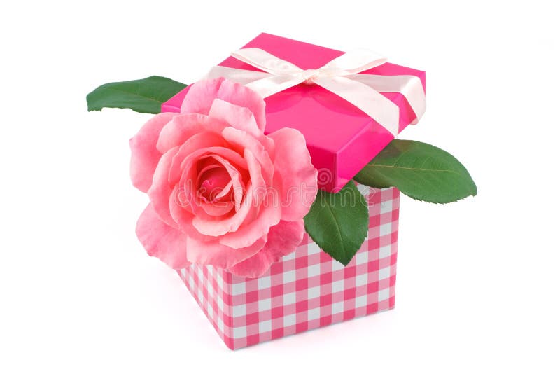 Pink rose in a gift box stock photo. Image of packing - 26241670