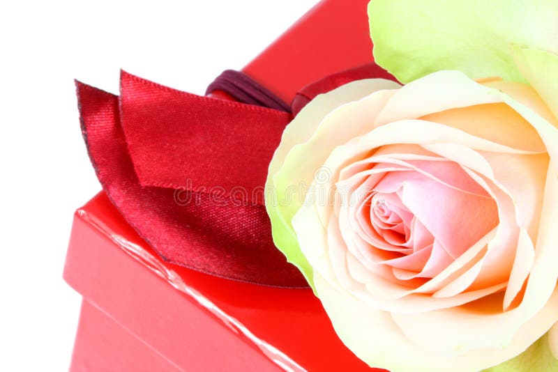 Pink rose and gift box. stock photo. Image of pink, white - 7068586