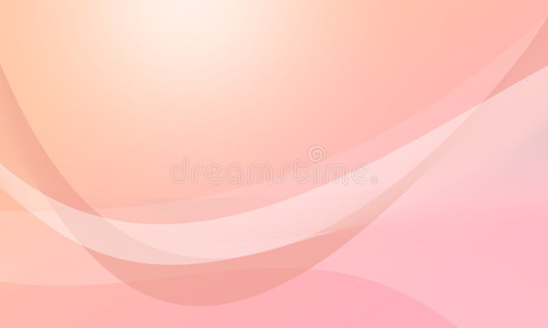 Pink Rose Lines Curve Wave with Soft Gradient Abstract Background Stock ...