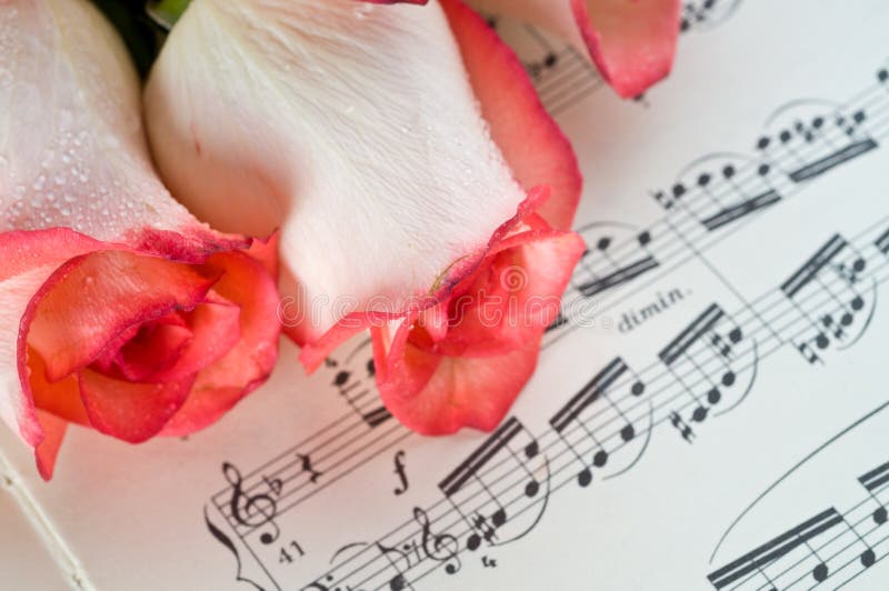 Pink rose and note stock image. Image of play, romance - 9610109