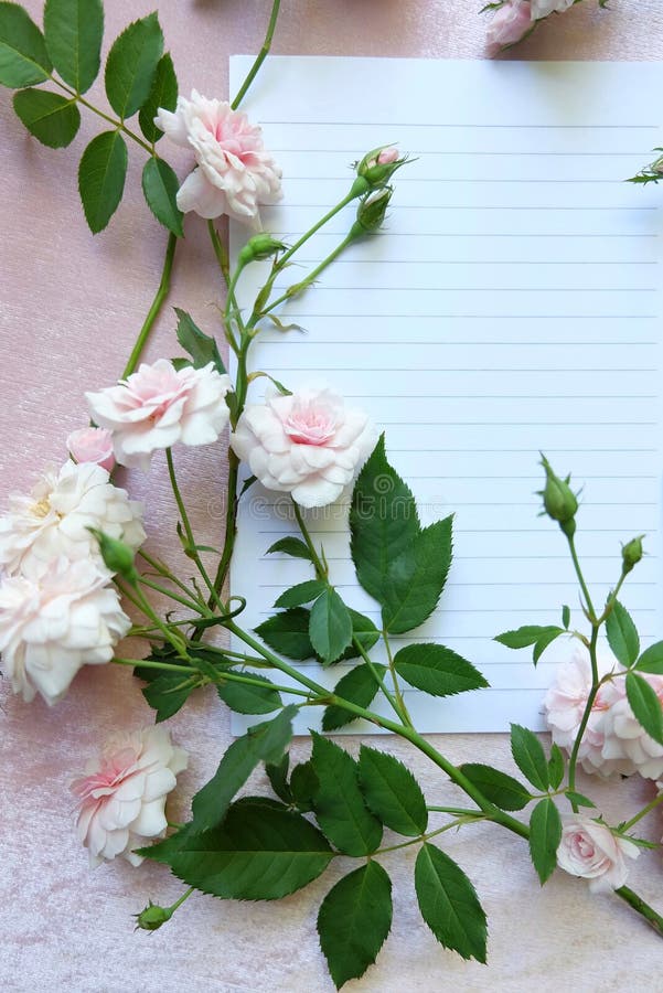 Rose and notebook stock image. Image of flower, concept - 8190425