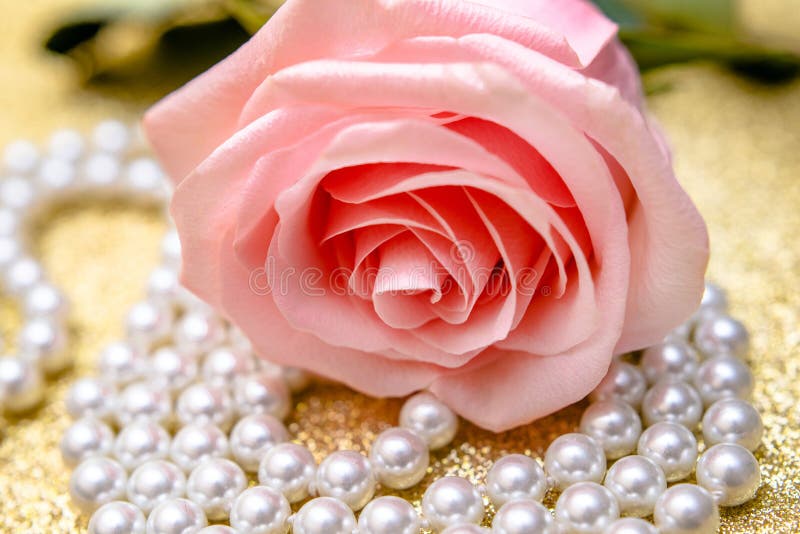 Pink Rose and Pearl Necklace Stock Image - Image of rose, pink: 355920933