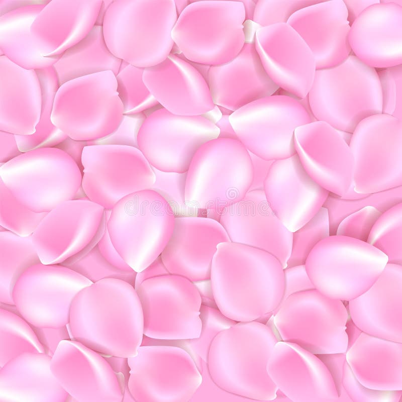 Pink Rose Petals Background with Sample Text Vector Illustration. Pink ...