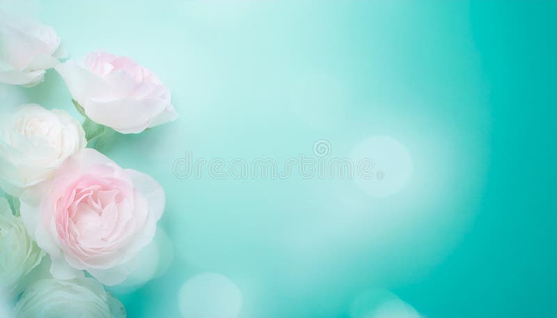 Generative AI, Pink Rose Petals on Gradient Mint White Background Stock ...