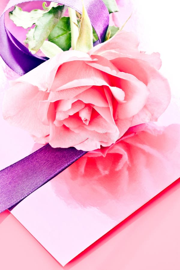 Pink Rose, Violet Ribbons and a Shiny Pink Envelope. Stock Photo ...