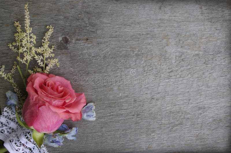 Pink Rose on Rustic Wood Board Background Stock Image - Image of copy ...