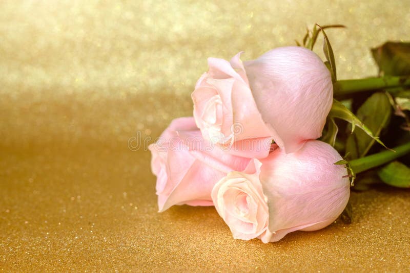 Rose on a Shiny Gold Background Stock Image - Image of bright, flower ...