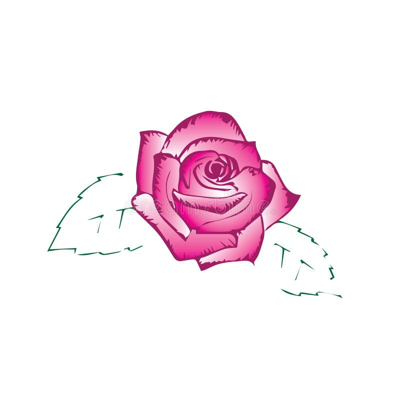 Pink rose sketch stock vector. Illustration of freehand - 58354656
