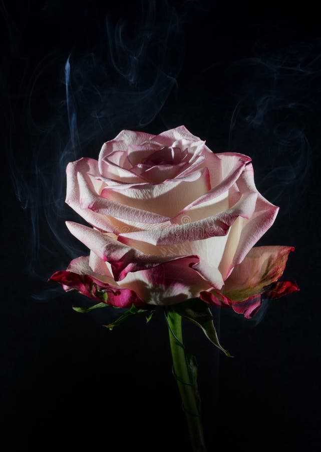 Smoke in the dark stock image. Image of black, dark - 116594513