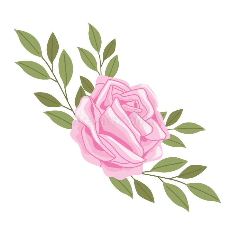 Light Pink Rose Clip Art