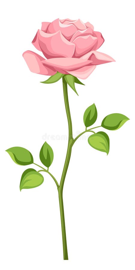 Red rose with stem. stock vector. Illustration of stem - 32718419