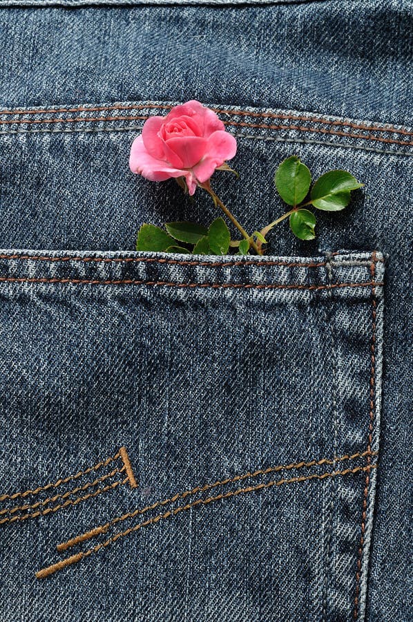 A Pink Rose Sticking Out of a Back Pocket of a Denim Stock Image ...