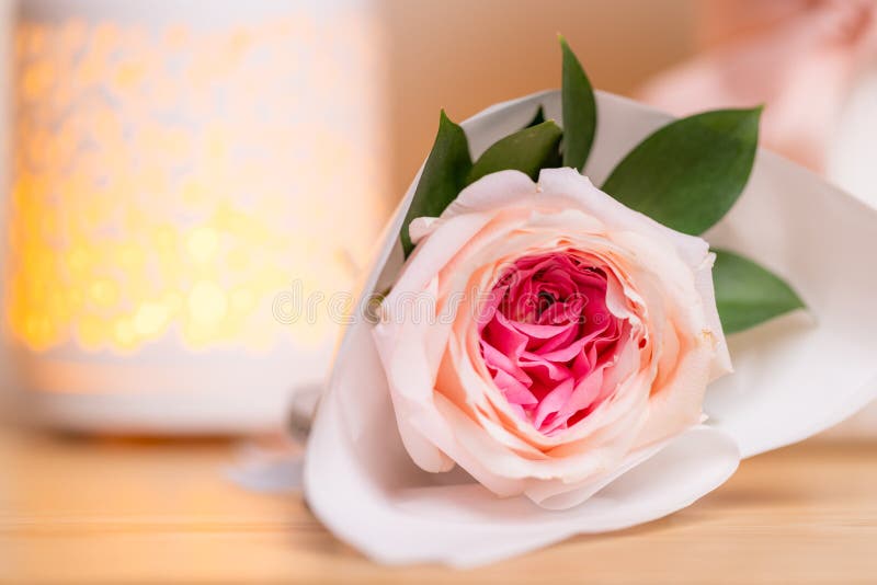Pink rose on table stock photo. Image of holiday, flowers - 248889474