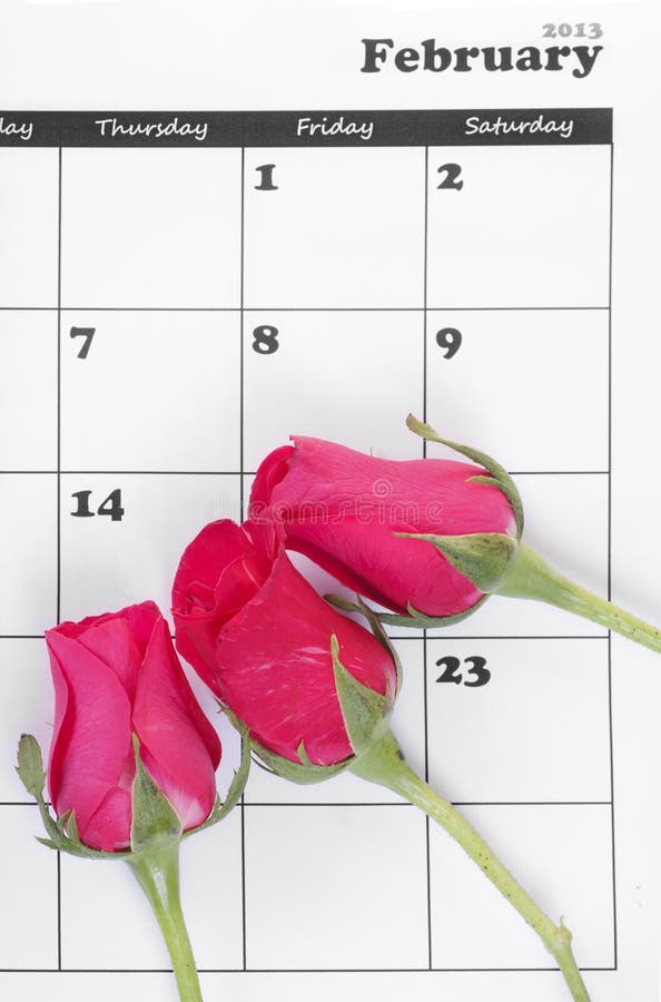 Pink Rose on Valentine Calendar Stock Image - Image of desire, pink ...