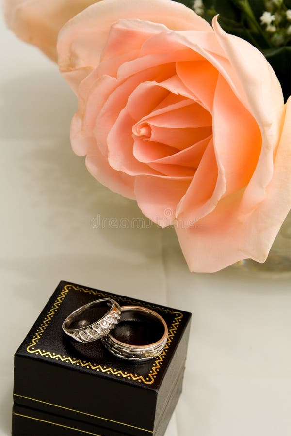 Pink Rose with Wedding Rings Stock Image - Image of commitment, romance ...