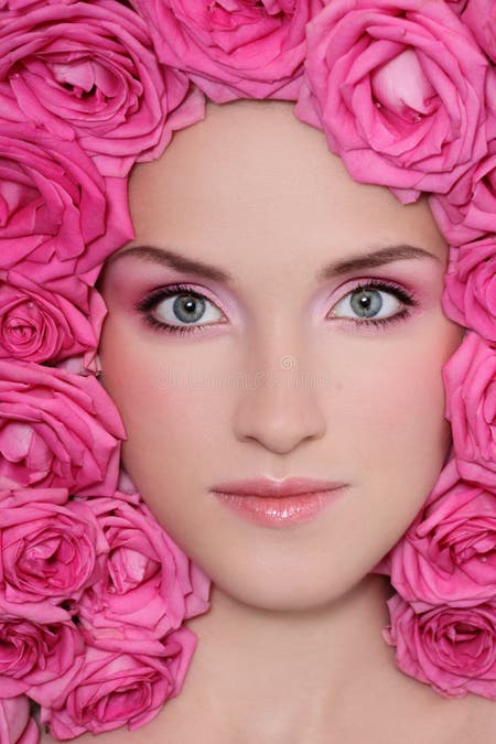 Pink roses stock image. Image of female, flowering, grooming - 10453959