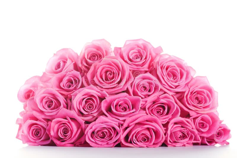 Hot Pink Roses. Border stock image. Image of flower, freshness - 38934037