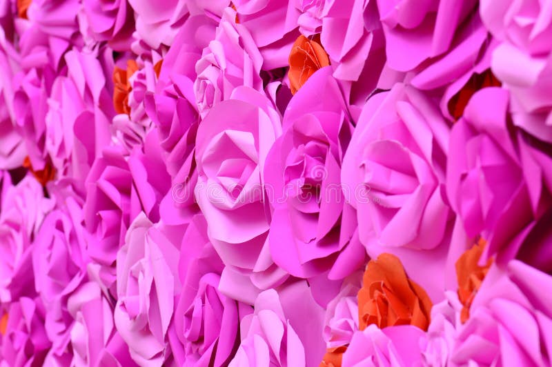 Pink Roses Background Abstract Beautiful Stock Image - Image of bunch ...