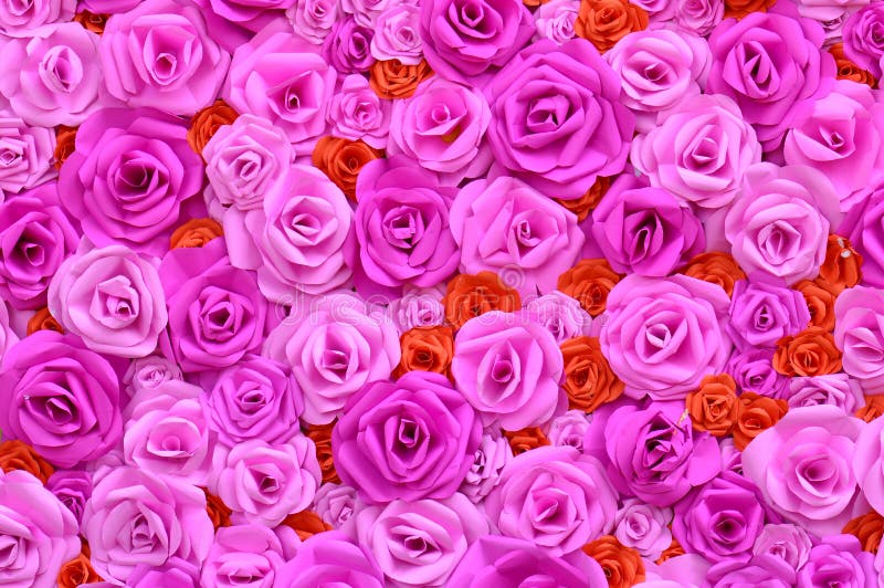 Pink Roses Background Abstract Beautiful Stock Photo - Image of texture ...